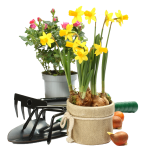 Building Material Bloemfontein - DIY Superstore
