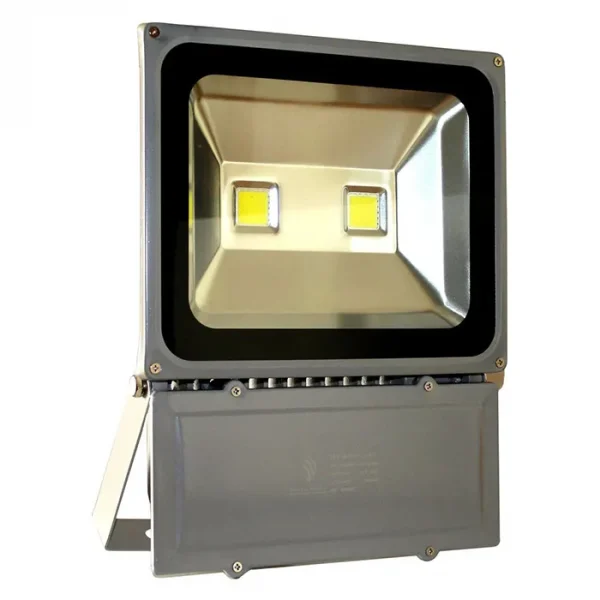 Mr Electric Led Floodlights 100W - DIY Superstore